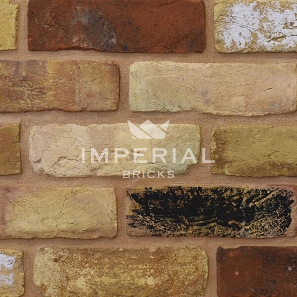 Conservation Yellow Multi Stock - Imperial Bricks