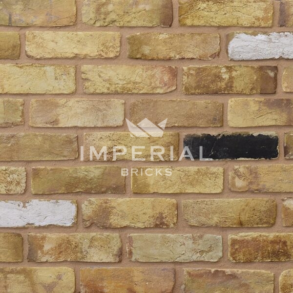 Conservation Yellow Multi Stock - Imperial Bricks